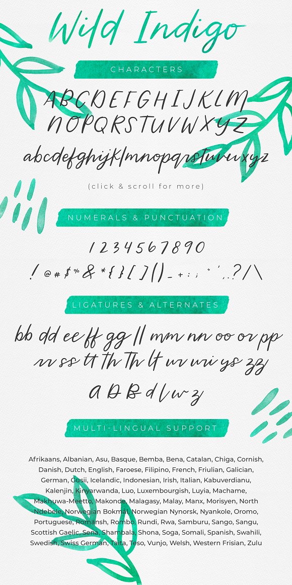 Wild Indigo Script Font - Free Font