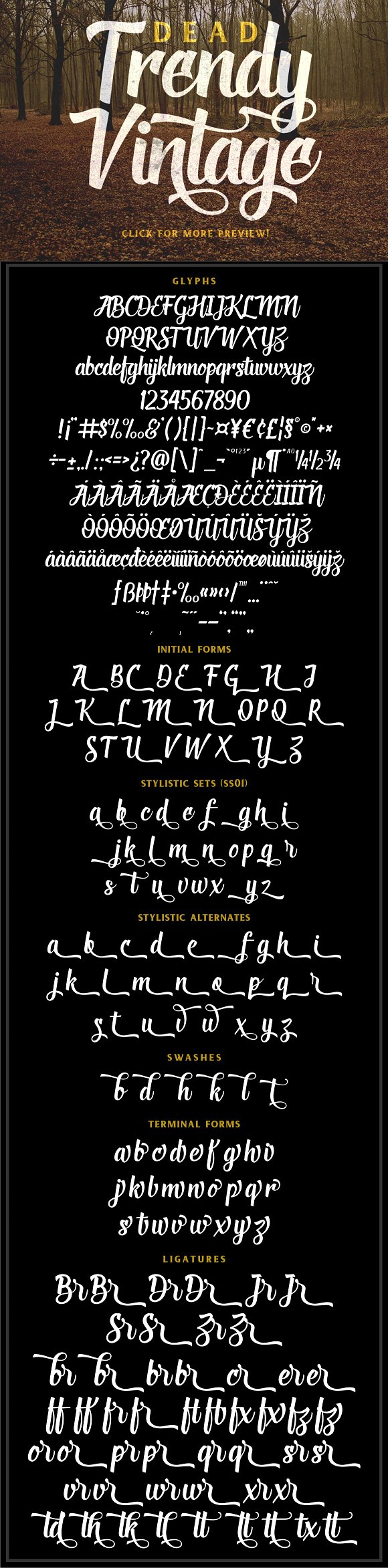 Deadhead Script Font - Free Font