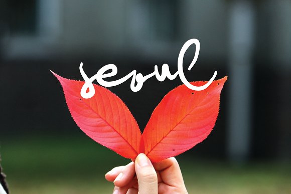 rio de janeiro - Free Font