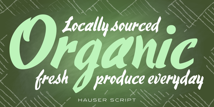 Hauser Script - Free Font