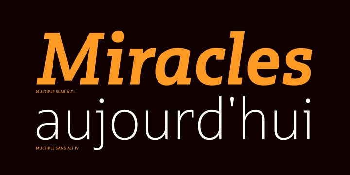 Multiple Sans & Slab Family - Free Font