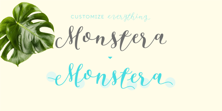 Resort Font Family - Free Font