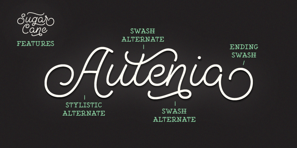 Sugar Cane Font Script - Free Font