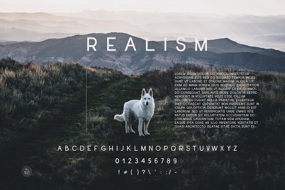 Realism Sans Serif Font - Free Font
