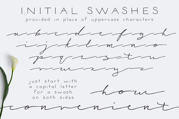 Victoria Script Font - Free Font