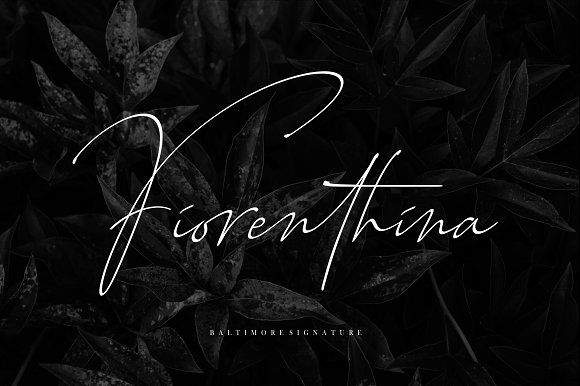 Baltimore - 4 Font Family - Free Font