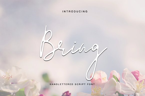 Bring script Font - Free Font