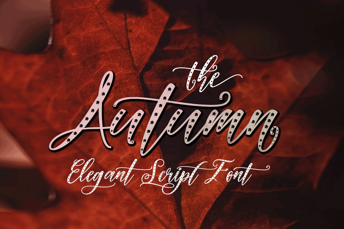Autumn Elegant Script Font - Free Font