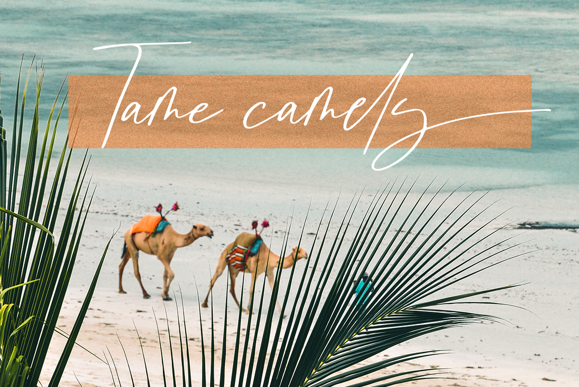 Brunei Darussalam Script Font - Free Font