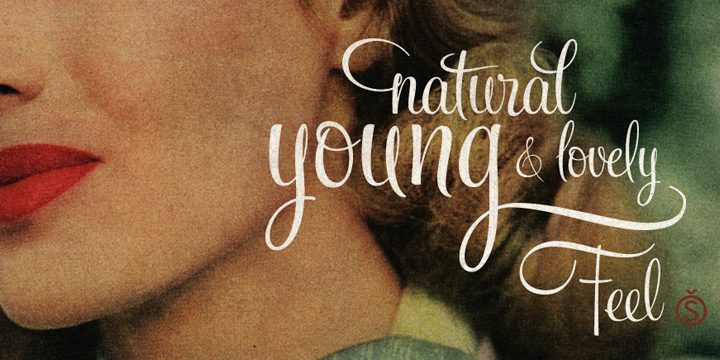 Feel Script Font - Free Font