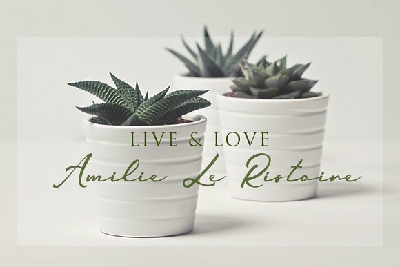 Jamilah Font - Free Font