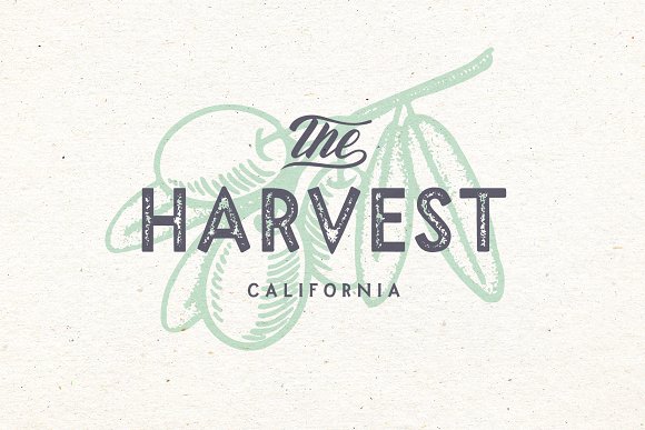 Madfish Font Family - Free Font