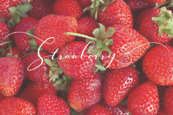 Quick Start Font - Free Font