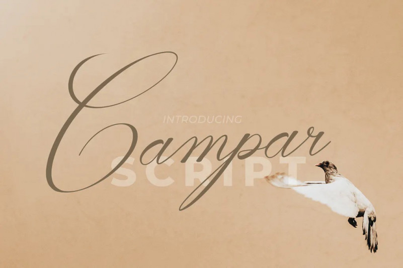 Campar Font - Free Font