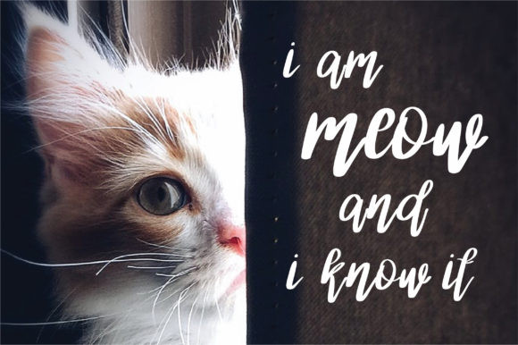 Elisa Font - Free Font