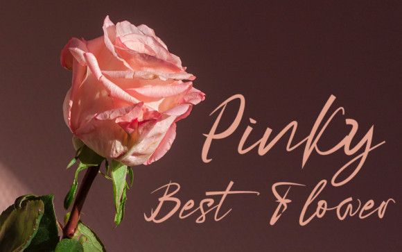 Aurel Smith Font - Free Font