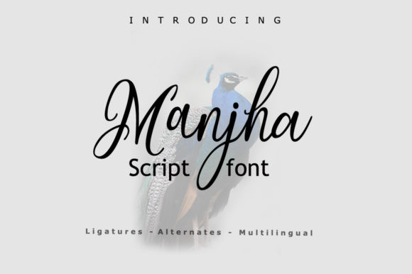 Manjha Font - Free Font