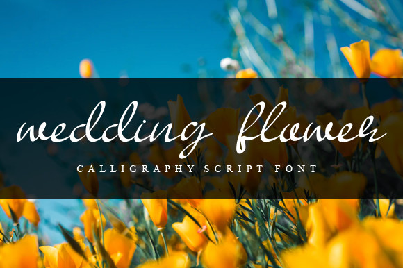 Tallenan Font - Free Font