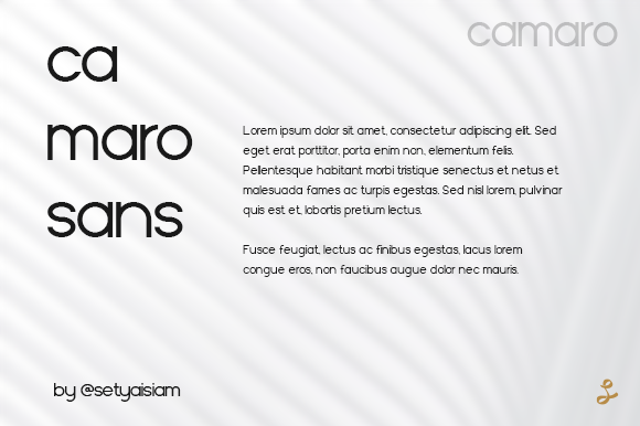 Camaro Font - Free Font