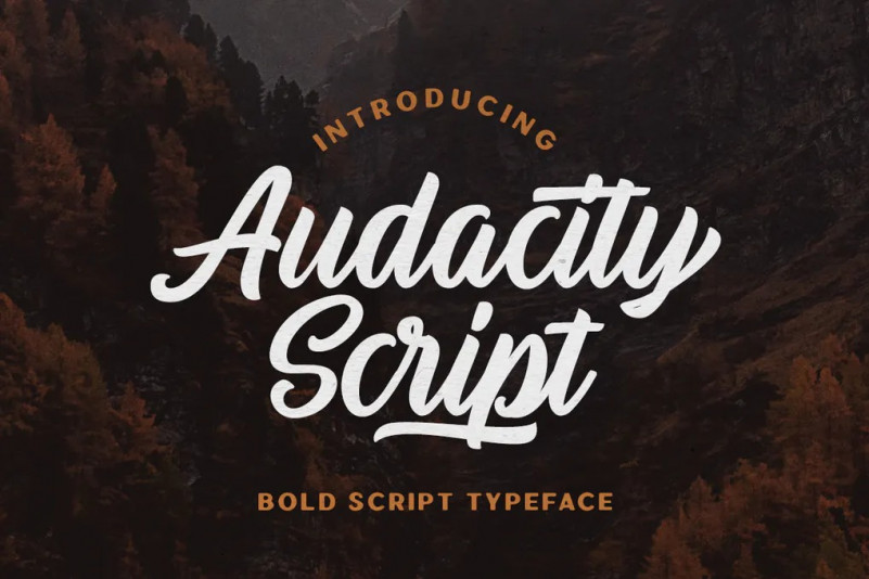Audacity Font - Free Font