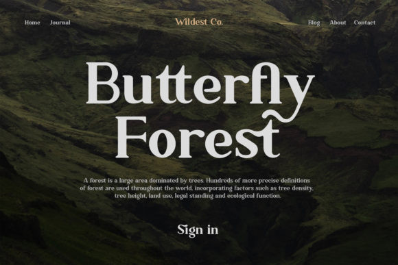 Ambigue Wild Font - Free Font