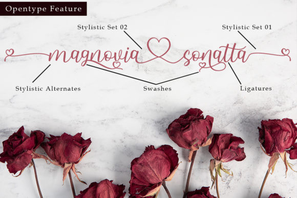 Hallo Carthy Font - Free Font