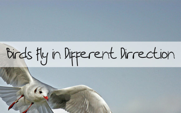 Like a Birds Font - Free Font