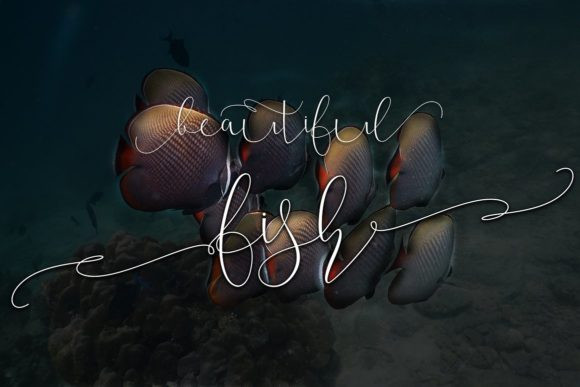 Mallow Font - Free Font