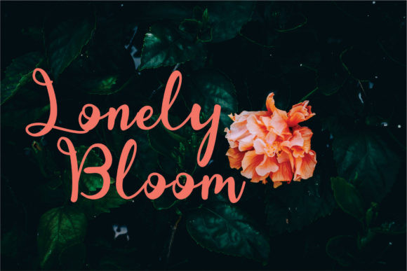 Pamela Font - Free Font