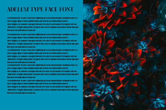 Adelium Font - Free Font