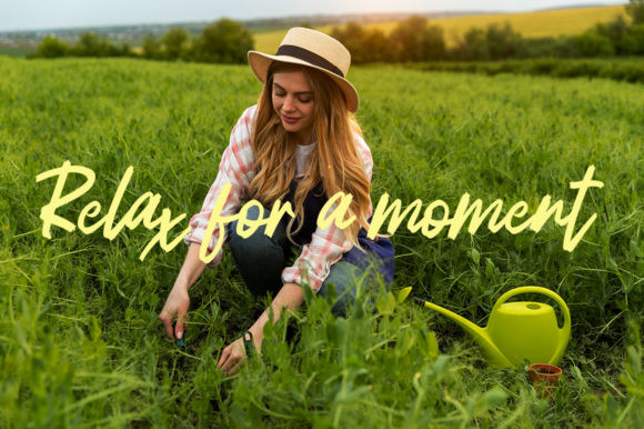 Anatomi Font - Free Font