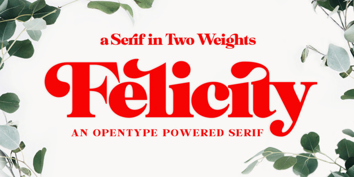 Felicity Font - Free Font
