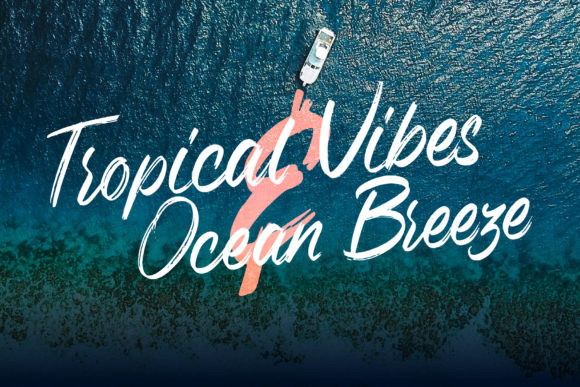 Assylum Font - Free Font