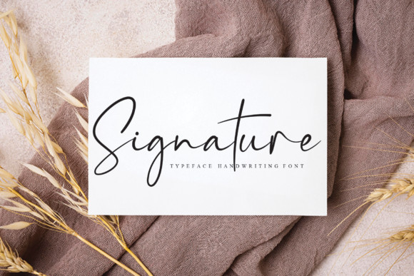 Beverage Font - Free Font