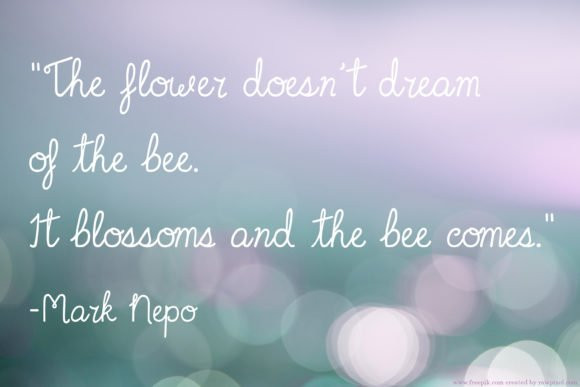 Violet Honey Bee Font - Free Font