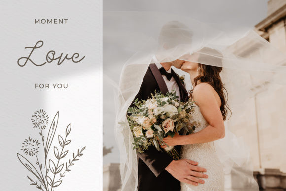 Viona Font - Free Font