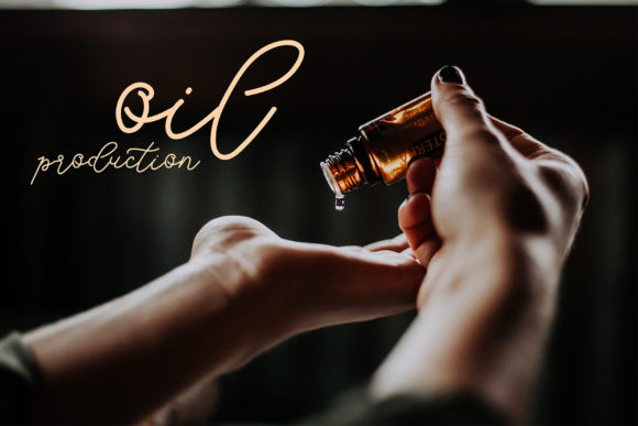 Viona Font - Free Font