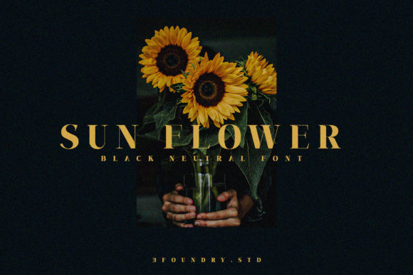 Neutral Black Font - Free Font