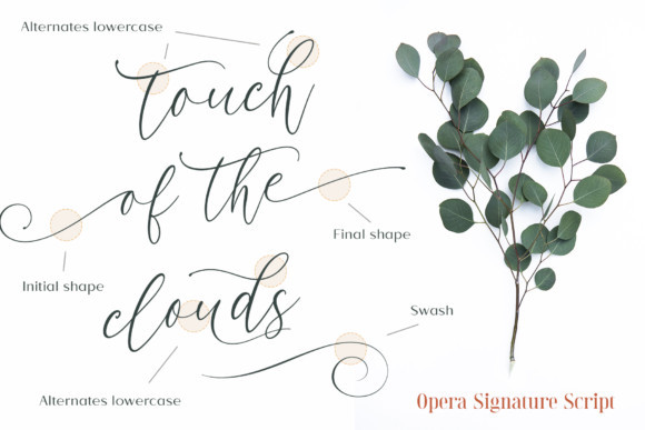 Opera Signature Font - Free Font