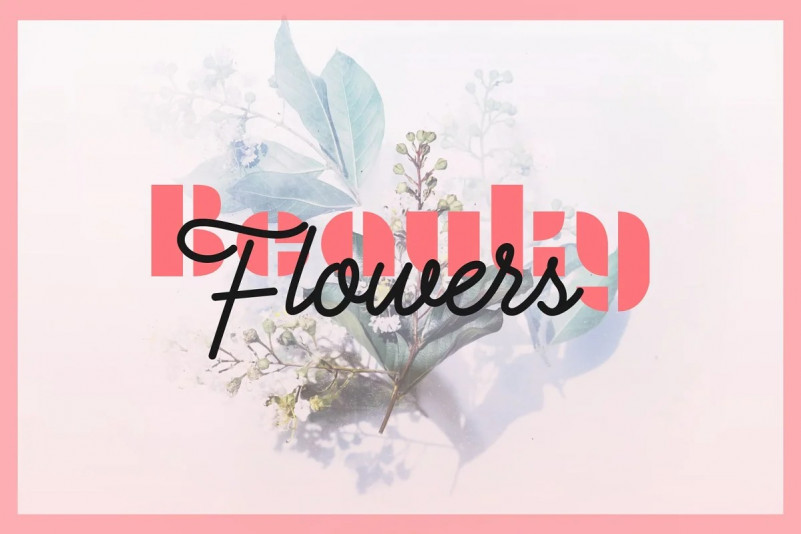 Mijuo Font - Free Font