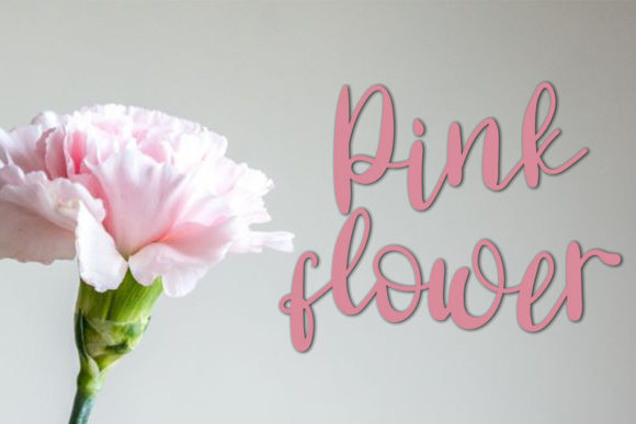 Daily Danissa Font - Free Font