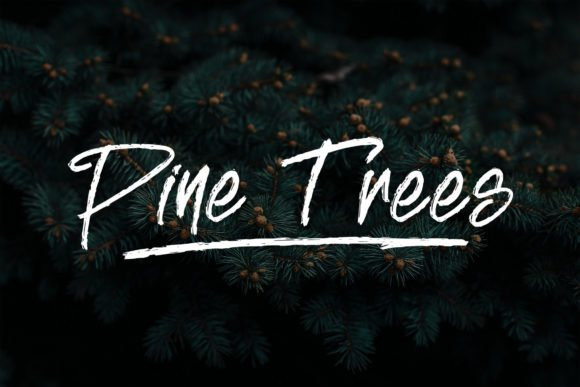 Breaking Rule Font - Free Font