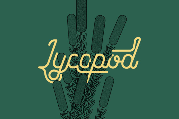 Lycopod Font - Free Font
