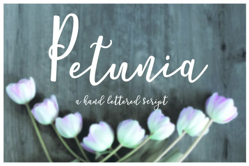 Petunia Font - Free Font