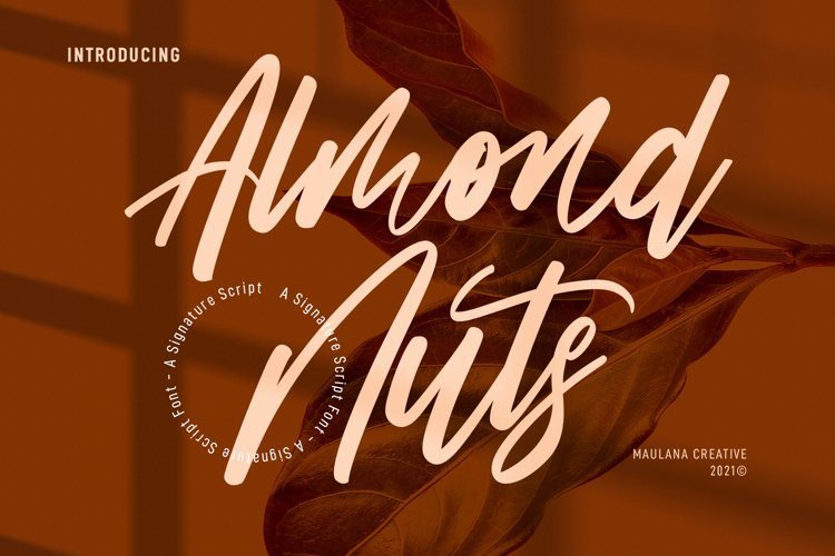 Almond Nuts Font - Free Font