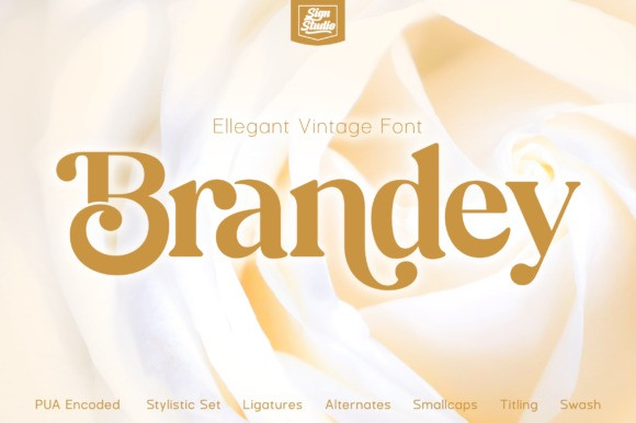Brandey Font - Free Font