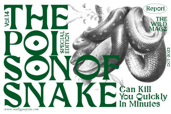 Mogge Font - Free Font