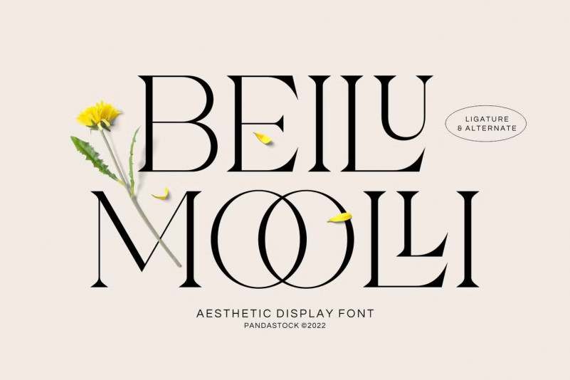 Beilu Mooli Font - Free Font