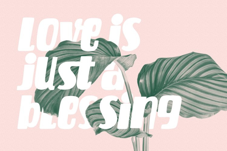Cardifa Font - Free Font