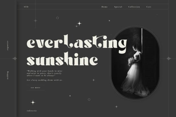Aves Font - Free Font